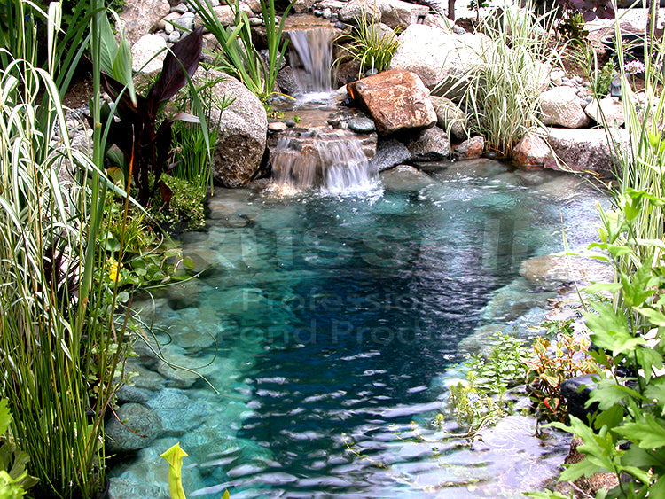 Hybrid Pond Kits | Part Water Garden Pond, Part Koi Pond