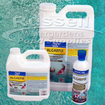 Algaefix Algae Control For All Types of Ponds - Clears Water